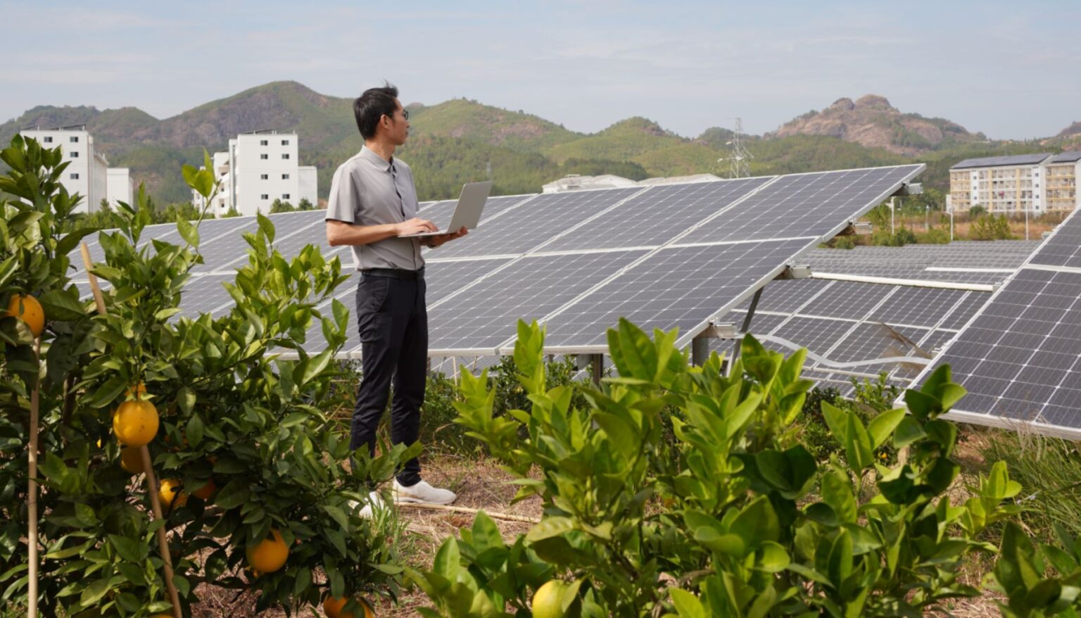 IBM and UNDP launch new energy forecasting tools to drive equitable ...