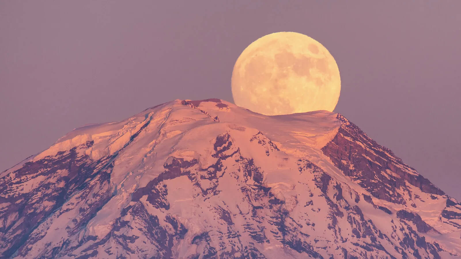 Full Moon February 2025 When And How To See The Snow Moon In South Full Moon February 2025 When And How To See The Snow Moon In South